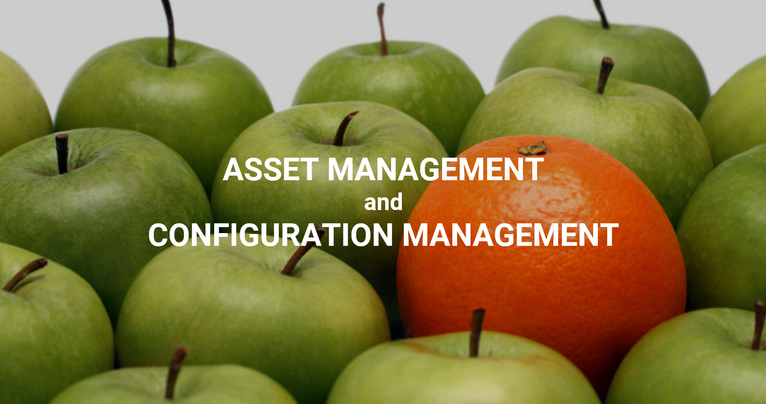 Comparing Configuration And Asset Management Test Environment